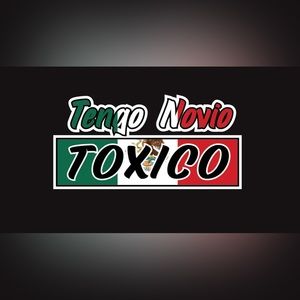 Other | Tengo Novio Toxico Decal Car Window Laptop Vinyl Sticker Toxic ...